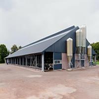 China Light Steel Cow Farm Shed Prefab Livestock Building 8-36m Span for sale