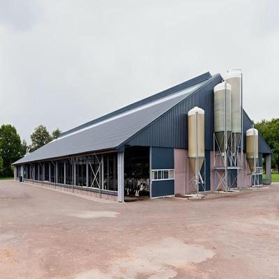 China Light Steel Cow Farm Shed Prefab Livestock Building 8-36m Span for sale