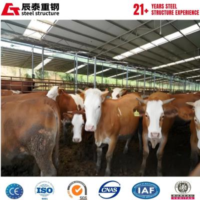 China Galvanized Portal Steel Frame Agricultural Building for Poultry Farm 20-40m Span for sale