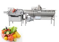China JY-4200 4.8KW Vegetable Washing Machine with 1000KG/H Capacity and 4200mm Length for sale