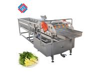 China ODM CE Vegetable Fruit Washing Machine Easy To Operate for sale