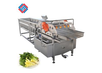China ODM CE Vegetable Fruit Washing Machine Easy To Operate for sale