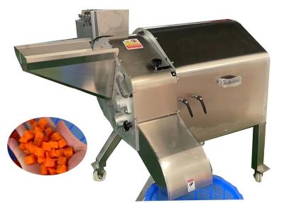 China Stainless Steel Fruit Dicing Machine 1000kg/h Kiwi Papaya Cube Cutting Equipment for sale