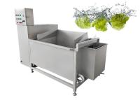 China Automatic Disinfection Vegetable Washing Machine SUS 304 400KG/H for sale