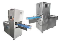 China Ice Cutting Machine With Large Feeding Inlet Band Saw Frozen Meat Processing Machine for sale