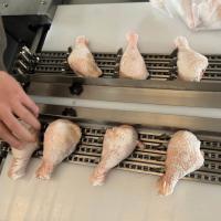 China JYD-2550-6 Automatic 6-Cut Meat Bone Saw Machine 680kg 23m/s for Frozen Meat Processing for sale