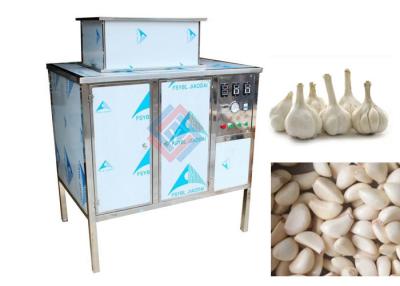 China Double Tank Garlic Peeling Machine JY-128S-2 for sale