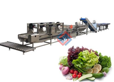 China Salad Production Line with 1000-1500kg/h Capacity for Leafy Vegetables - 5-Station Processing System for sale
