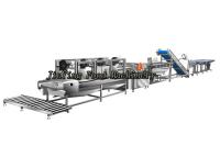 China Automatic Salad Production Line 800-1500kg/h with Vegetable Cutting & Washing Systems 380V for sale