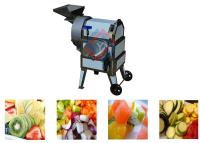 China SUS304 Stainless Steel Fruit Vegetable Cutting Slicing Dicing Machine 300-800kg/h 220V for sale