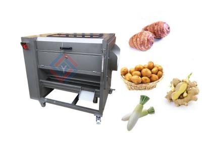 China Industrial Fruit Vegetable Peeler Machine 300-500kg/h Brush Peeling for Potato Carrot Ginger for sale