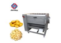 China JYTP-80 Vegetable Peeler Machine 300-500 kg/h Capacity with 1.5kW Motor for Carrot Ginger Washing for sale