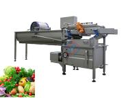 China JY-4200 Vortex Vegetable Fruit Washing Machine 4200mm with Deslagging Function 4.8KW Power for sale