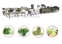 China Automatic Salad Production Line with 800-1500kg/h Capacity for Leafy Vegetables Cutting and Washing for sale