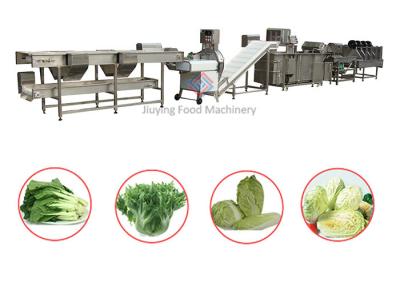 China Automatic Salad Production Line with 800-1500kg/h Capacity for Leafy Vegetables Cutting and Washing for sale