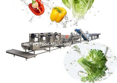 China 1000KG/H Salad Production Line for Frozen Vegetables - 304 Stainless Steel, 10KW Power, 18000mm Length for sale