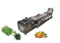 China Customized Salad Production Line Vegetable Fruit Washing Machine with 50% Efficiency Boost and 80% Water Savings for sale