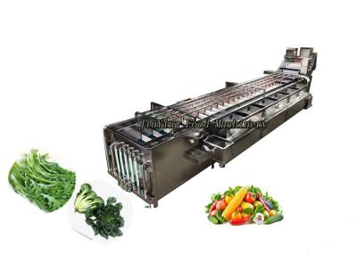 China Customized Salad Production Line Vegetable Fruit Washing Machine with 50% Efficiency Boost and 80% Water Savings for sale