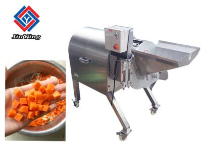 China 1000 KG/H Fruit Processing Equipment Pumpkin Cube Carrot Pineapple Dicing  Cutter for sale