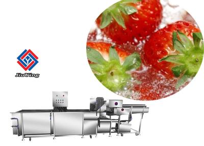 China Commercial Vegetable Washing Machine 4200mm 1.5 Ton Per Hour Bubble Cleaning for sale