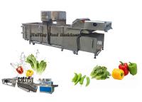 China Customized Vegetable Fruit Washing Machine with Bubble Cleaning System - 50% Efficiency Increase, 80% Water Saving for sale