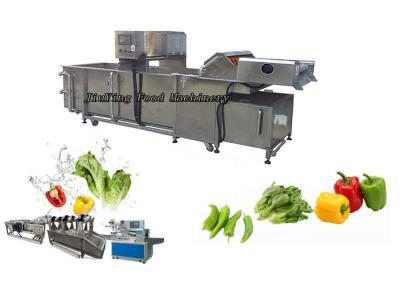 China Customized Vegetable Fruit Washing Machine with Bubble Cleaning System - 50% Efficiency Increase, 80% Water Saving for sale