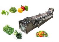 China IQF Salad Production Line with 1.5-2T/H Capacity for Vegetable Fruit Processing - 304 Stainless Steel for sale