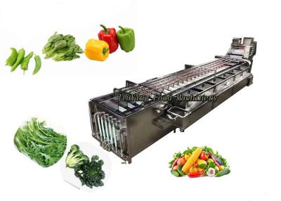 China IQF Salad Production Line with 1.5-2T/H Capacity for Vegetable Fruit Processing - 304 Stainless Steel for sale