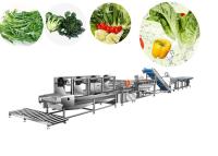 China Automatic Vegetable Bubble Washer Production Line - 1000kg/h Capacity, 380V Industrial Grade for sale