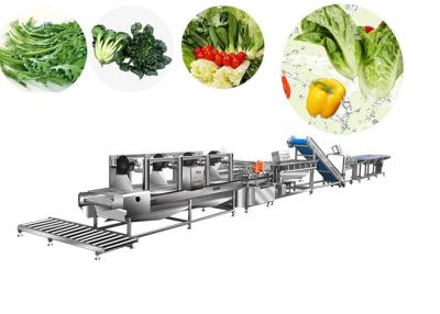 China Automatic Vegetable Bubble Washer Production Line - 1000kg/h Capacity, 380V Industrial Grade for sale