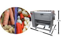 China Competitive Quality Vegetable Melon Potato Radish Taro Fruit Washing Machine for sale