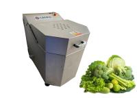 China Automatic Vegetable Dehydrator Machine 220V 380V 0.75KW Stainless Steel Spinach De-Watering Equipment for sale