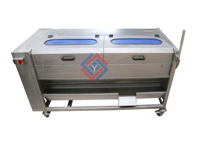 China Professional Carrot Potato Washing Peeling Machine With 6pcs Brush Roller for sale