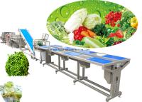 China Customized Vegetable Fruit Washer Cutting Machine Bubble Cleaning Production Line 500kg/h for sale