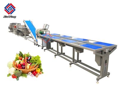 China SUS 304 Stainless Steel Frozen Vegetable Production Line with 1000-1500kg/h Capacity and 380V Power System for sale