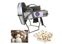 China Electric Vegetable Cutter 220V 0.375kw Green Onion Chili Pepper Scallion Celery Cutting Machine for sale