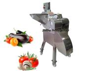 China SUS304 Vegetable Dicing Machine 500-800kg/h Capacity with 3-25mm Customizable Cutting Size for Industrial Food Processing for sale