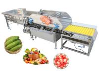 China Automatic Salad Fruit Air Bubble Cleaning Production Line 6500mm SUS304 4.5KW for sale