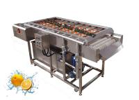 China 4.5KW 220V/380V Stainless Steel Fruit Vegetable Cleaning Disinfecting Machine 6500mm for sale
