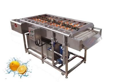 China 4.5KW 220V/380V Stainless Steel Fruit Vegetable Cleaning Disinfecting Machine 6500mm for sale
