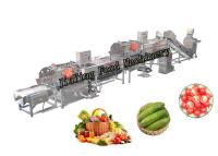 China Industrial Vegetable Fruit Cleaning Drying Machine 1-3T/H Capacity 220V 380V for sale