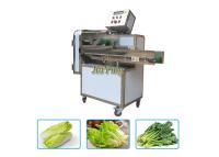 China Leafy Vegetable Cutter Machine Green Onion Cabbage Dicer 800-1500kg/h for sale