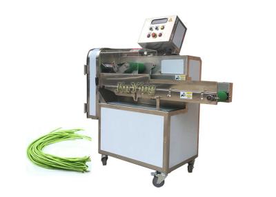 China Stainless Steel Vegetable Cutter 200kg Automatic Potato Processing Equipment for Food Factory for sale