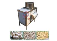 China 304 Stainless Steel Automatic Garlic Divider 500kg/h CE Certified Garlic Separating Machine for sale