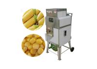 China 3kw 304 Stainless Steel Orange Peeling Machine 35kg Capacity Fruit Processing Equipment for sale