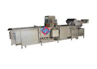 China 3.7KW Automatic Vegetable Washer / High Pressure Air Bubble Pepper Cleaning Machine for sale