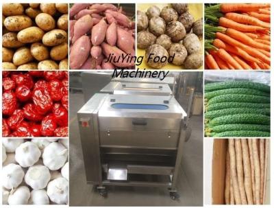 China 300-500 kg/h Potato Washing and Peeling Machine with Nylon Wire Brush for Industrial Food Processing for sale