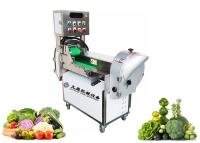 China Multifunctional Vegetable Cutting Machine 110V 2.5KW Leafy Root Dicer Slicer Stripper for sale