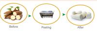 China Industrial Brush Fruit Vegetable Peeler Machine 1000-1500kg/hr Capacity 304 Stainless Steel for sale