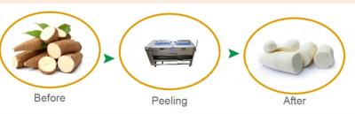 China Industrial Brush Fruit Vegetable Peeler Machine 1000-1500kg/hr Capacity 304 Stainless Steel for sale
